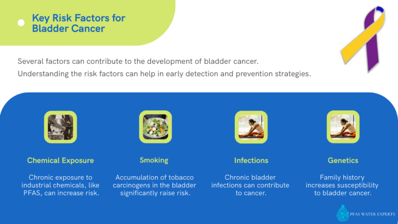 PFAS and Bladder Cancer: Investigating the Connection - PFAS Water Experts